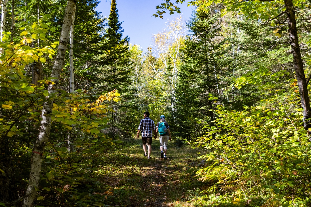 Visit Provincial Parks | Sioux Narrows-Nestor Falls, Ontario