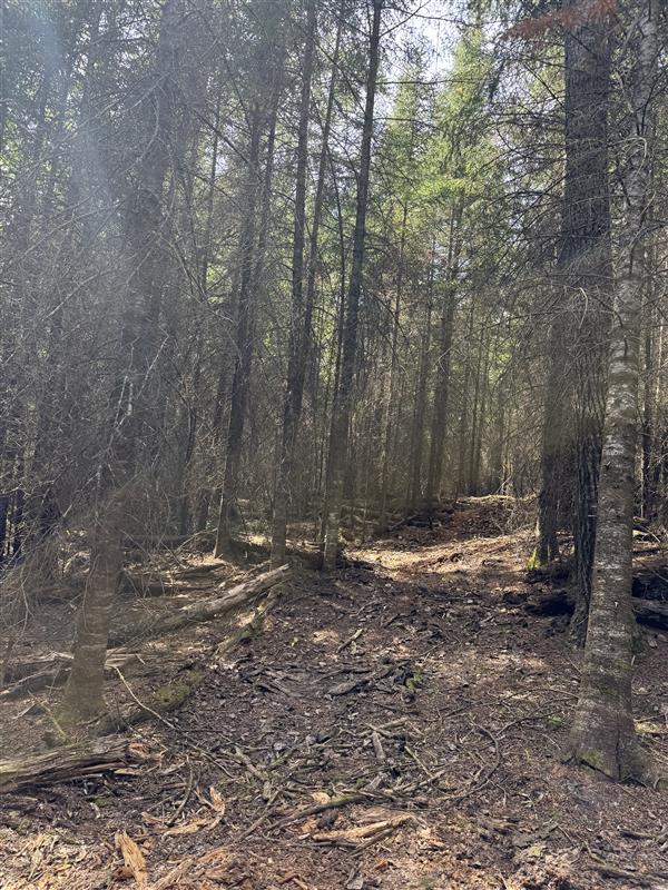 April 29, 2025 Timothy Warner