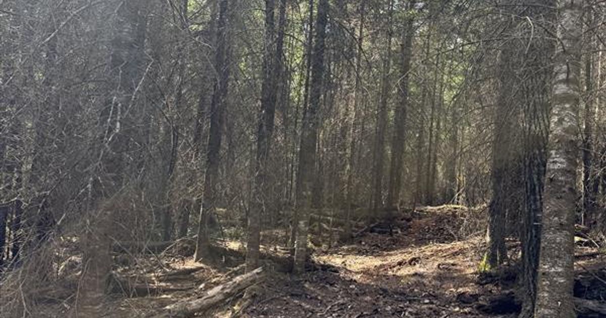 New Trail-1200x630.jpg